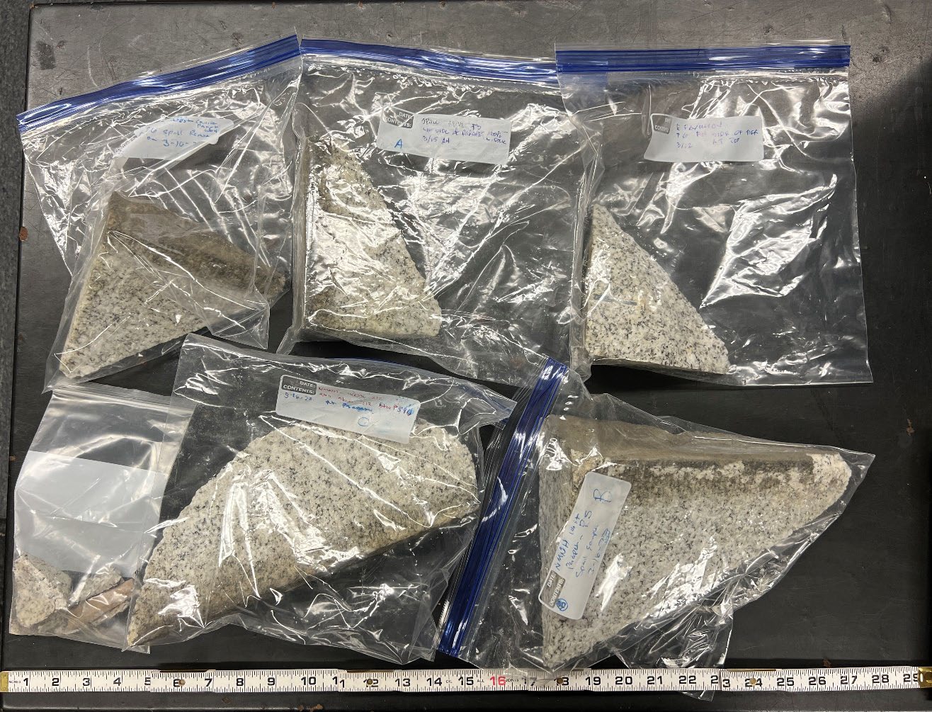 Smithsonian Institute: National Museum of Natural History - Cornice ...