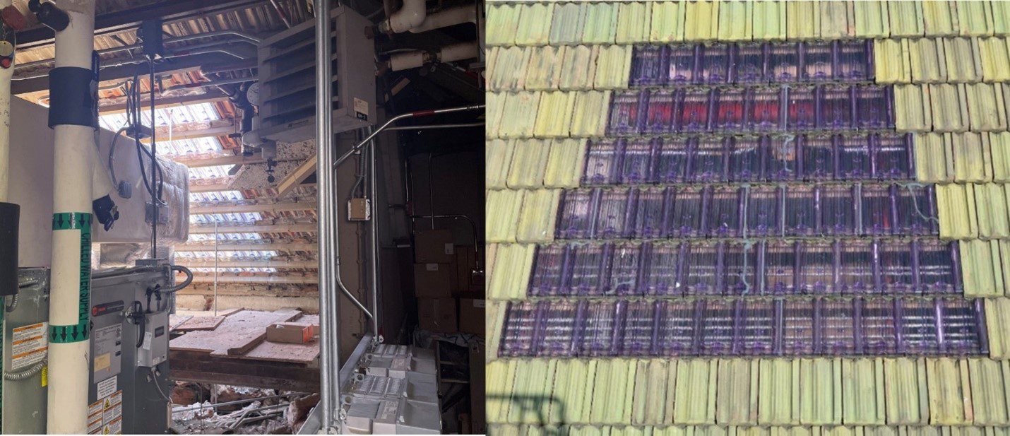 Smithsonian Insitution: Animal Finials and Glass Roof Tiles of the ...